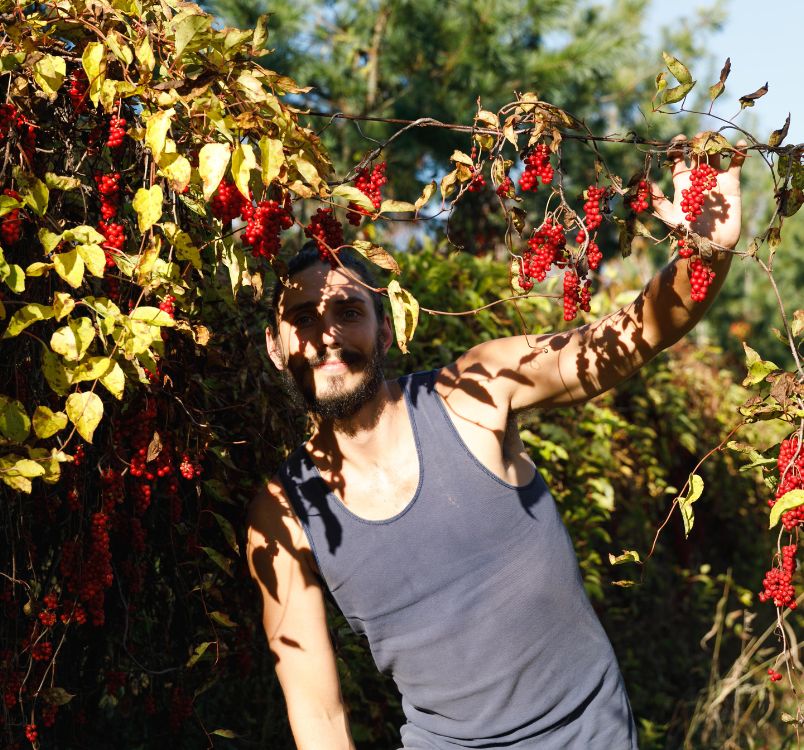 Schisandra Berry Farm | SuperFeast At The Source in China